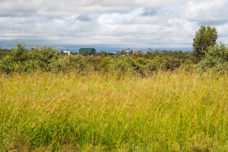Environment, Cultural Heritage & Community – Middlemount Coal